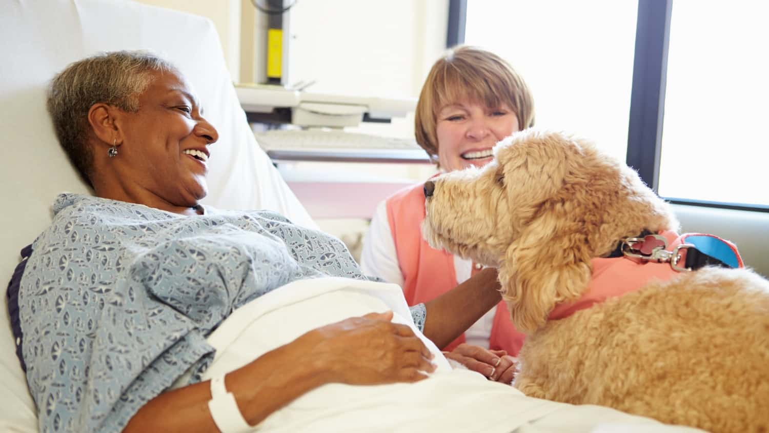 Having Free Time After 60 Can Be So Rewarding – As a Volunteer! | Sixty ...