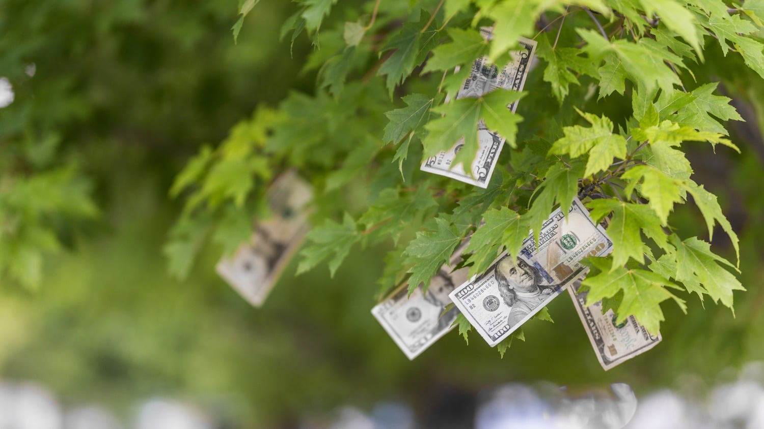 The Paycheck Is Gone – So Where Does the Money Come from Now? | Sixty ...